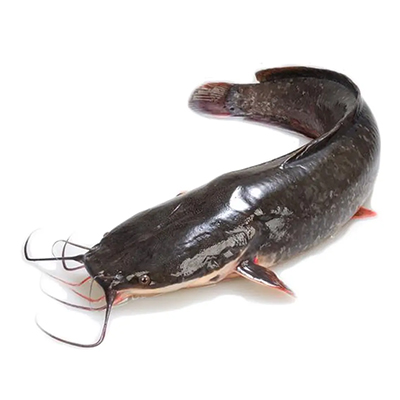 Fruit de mer – BSP